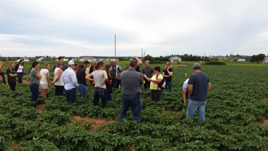 Upcoming Potato Meetings for Field Staff/Growers - PEI Potato Agronomy