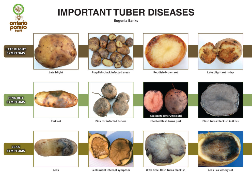 Agronomy Update - April 22 - PEI Potato Agronomy